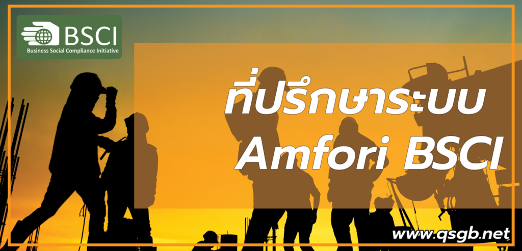 amfori BSCI – QSG B Transform