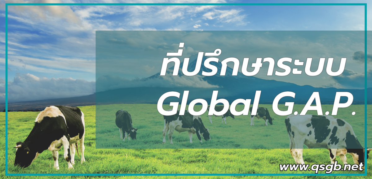 GLOBAL G.A.P. – QSG B Transform